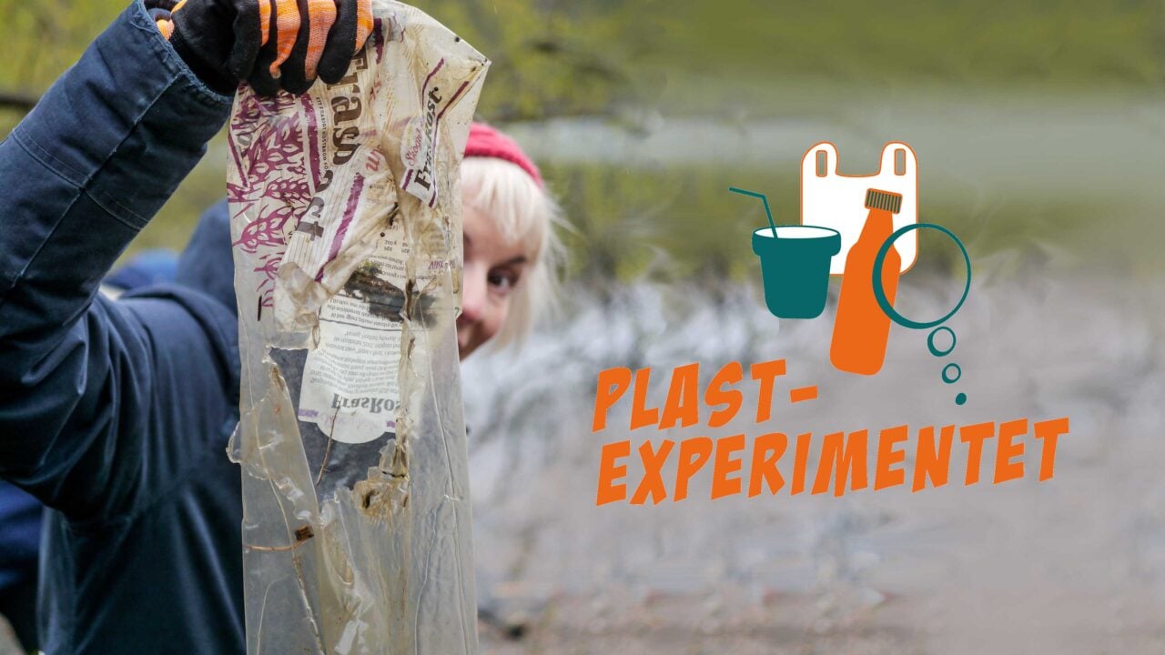 Most plastic litter found on beaches reveals Swedish citizen science ...